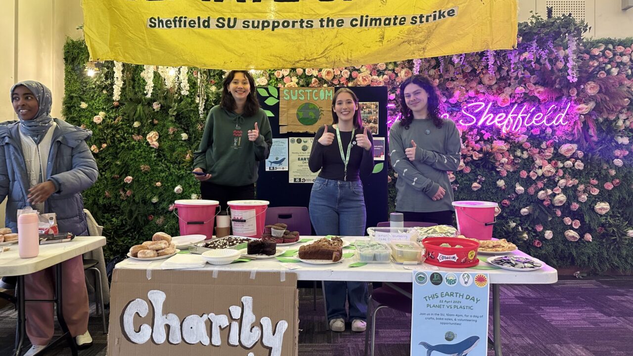 Sheffield organisations gather to celebrate Earth Day 2024 | ShefLive